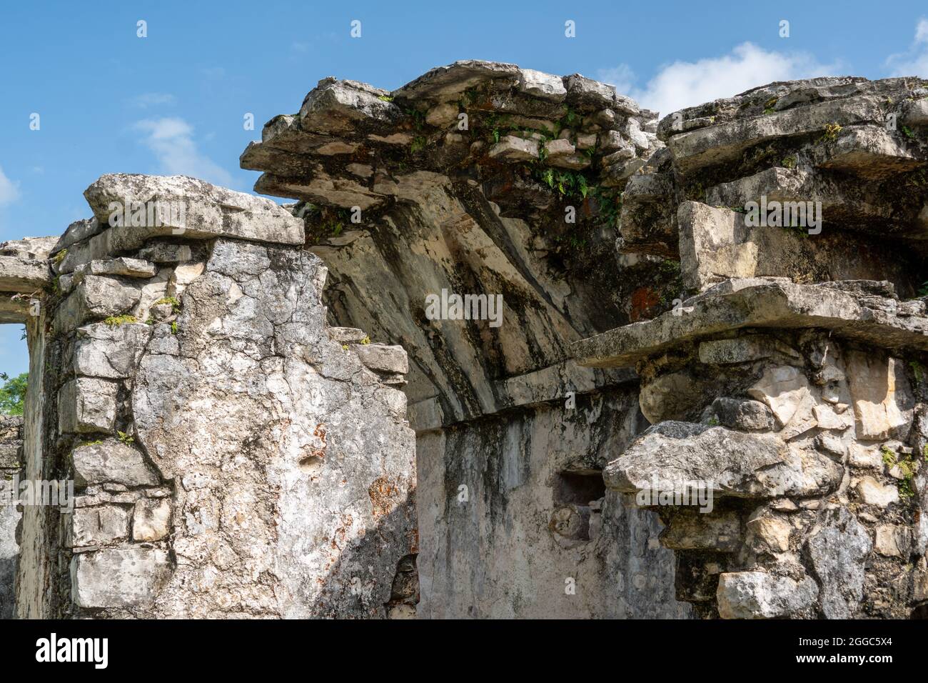 Temple of Kukulkan / Chichen Itza, Mexico Stock Photo - Alamy