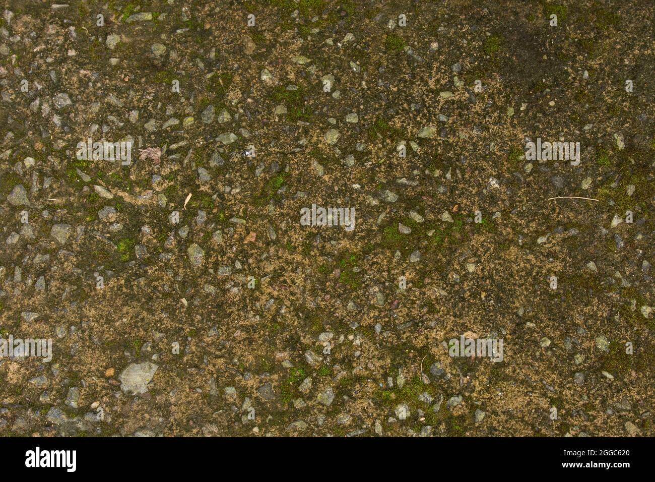 Traditional drum (YAK BERAYA) on white background Stock Photo - Alamy