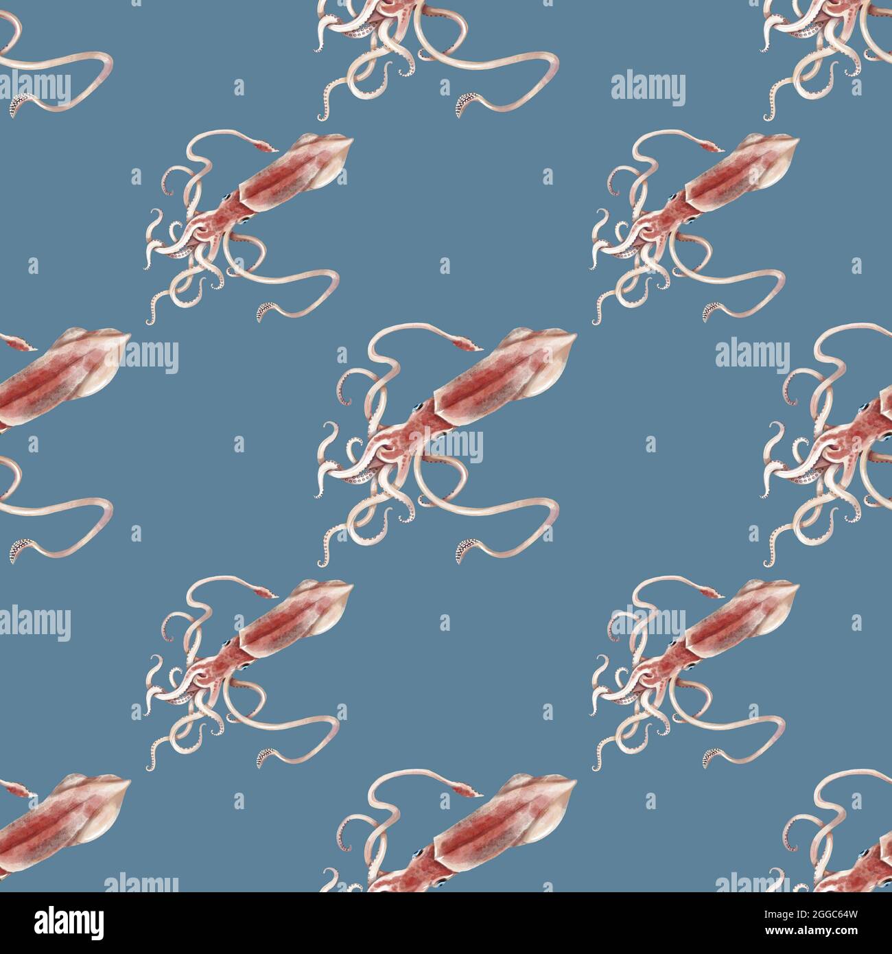 Watercolor squid seamless pattern, hand painted illustration background ...