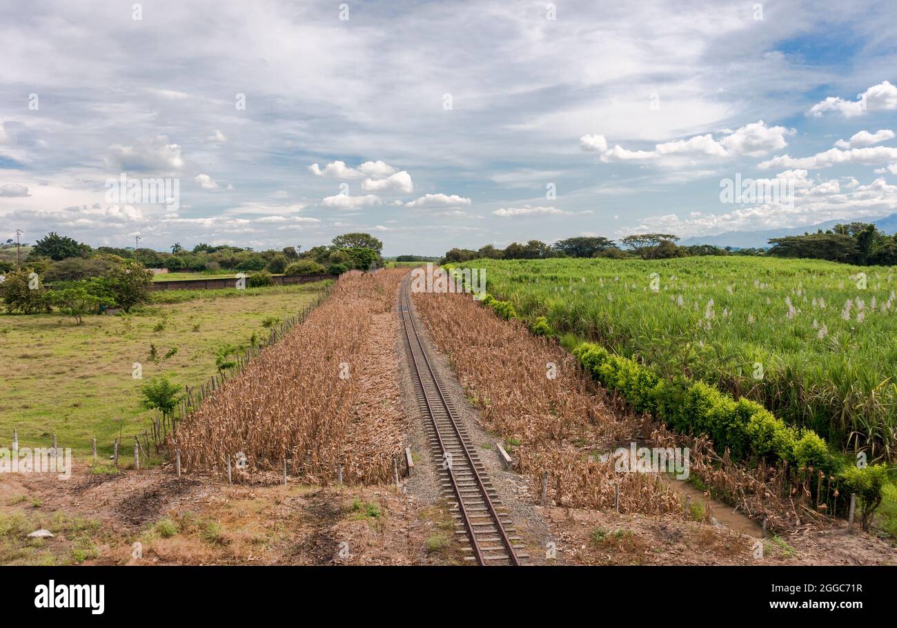 The train tracks crossing the Colombian landscape Stock Photo - Alamy