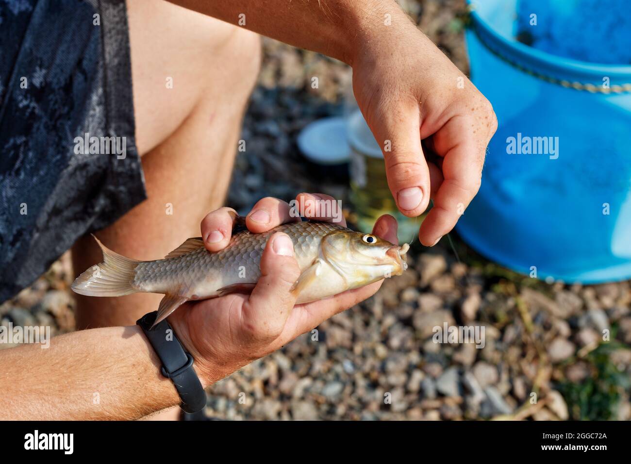 The fisherman's hands remove the caught fish from the hook. Blurred ...