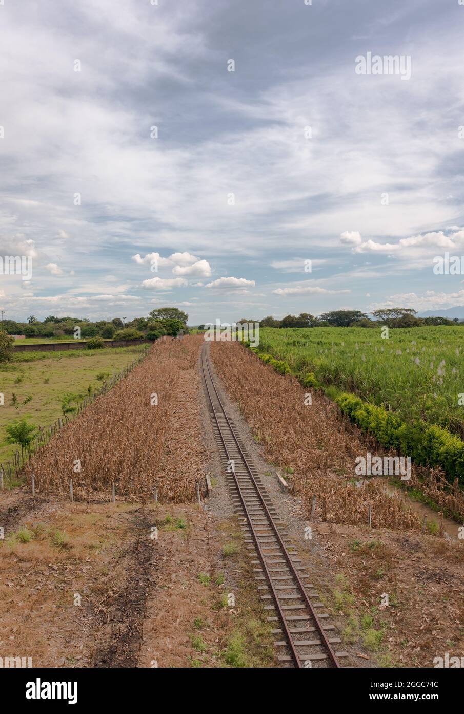 The train tracks crossing the Colombian landscape Stock Photo - Alamy
