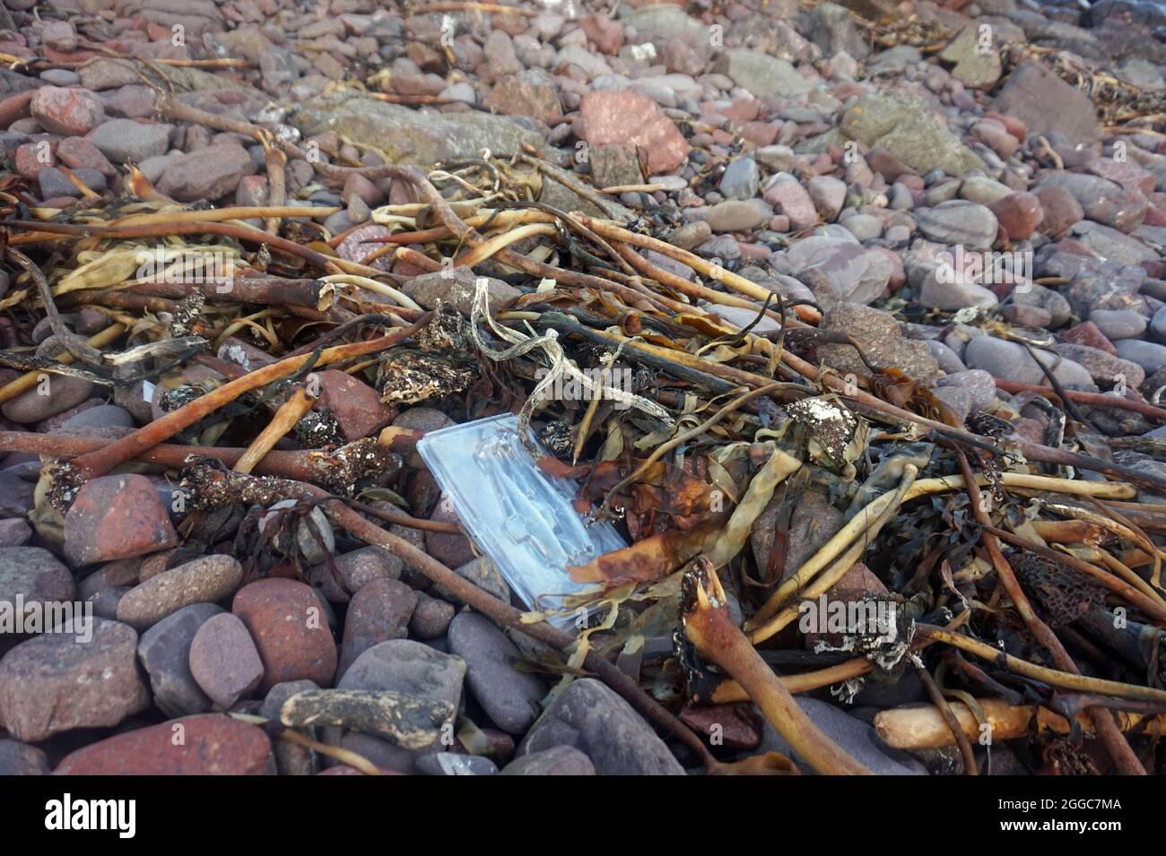 Solutions to plastic pollution hi-res stock photography and images - Alamy