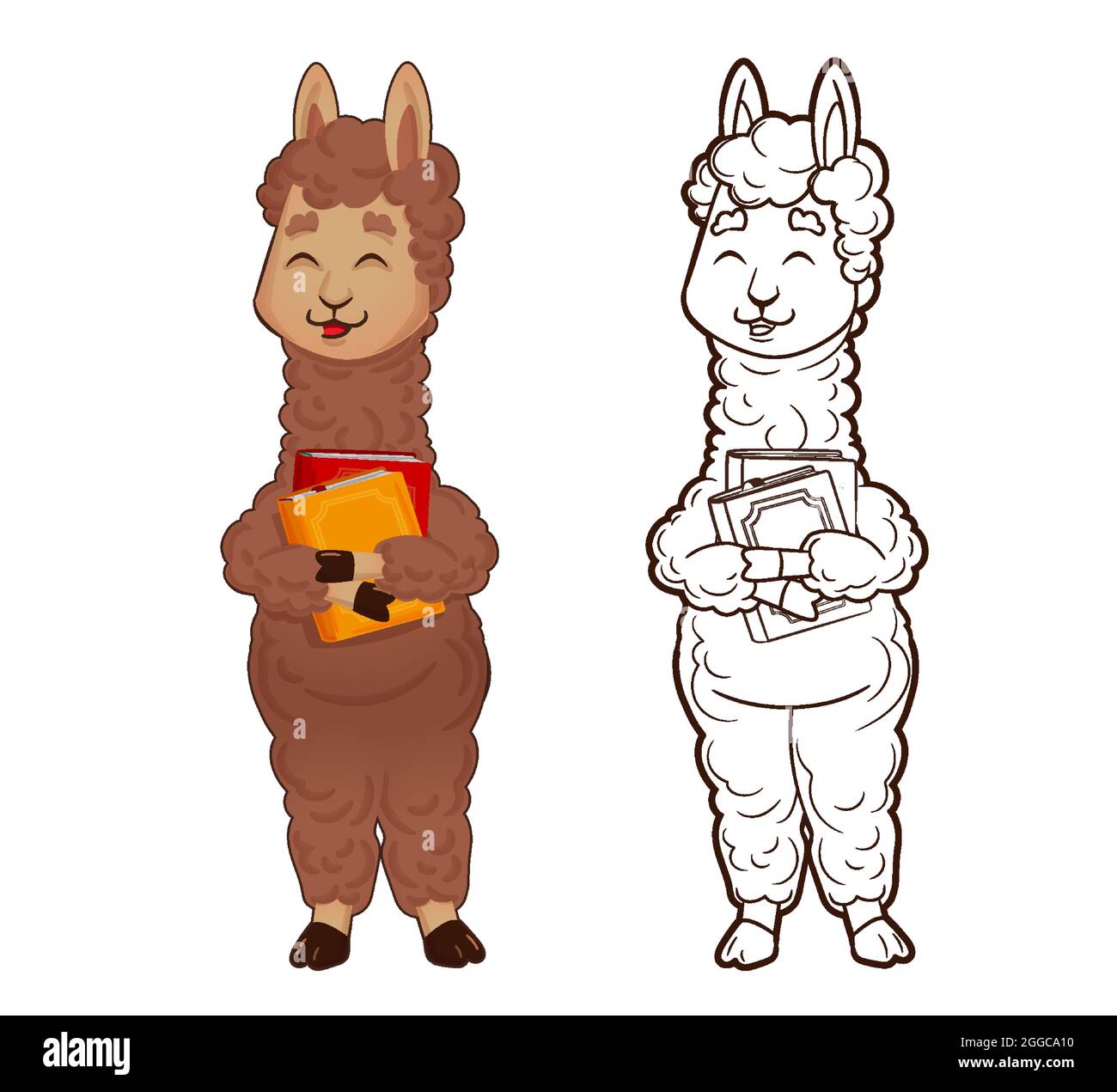 Coloring book: Alpaca llama is holding books, animal figure isolated ...