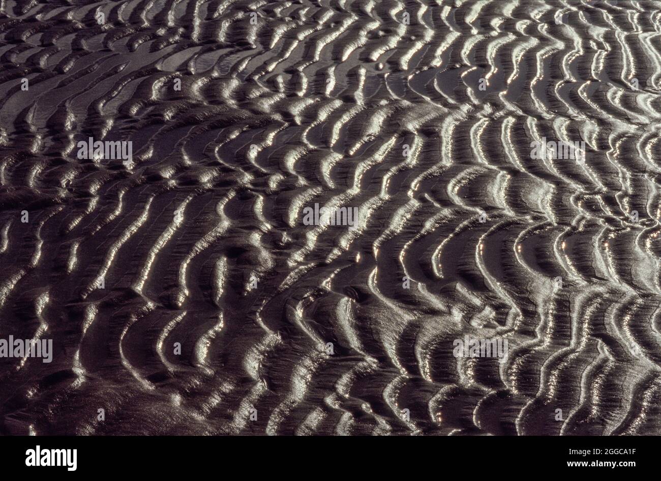 Patterns of nature: ripples in the sand at low tide on Inchydoney Beach ...