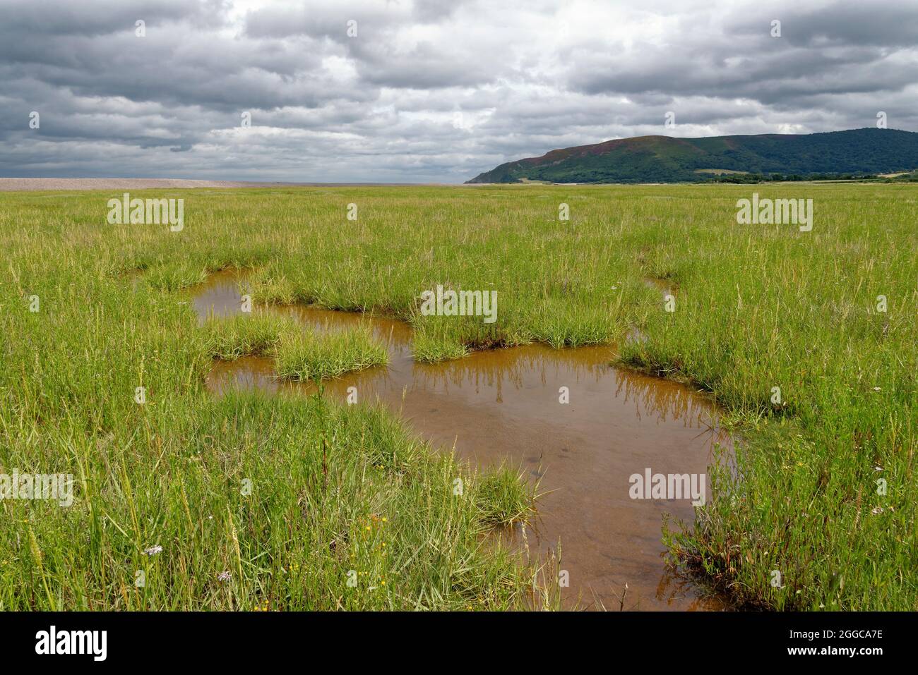 Porlock Marsh with Hurlstone Point and Bossington Hill Stock Photo - Alamy