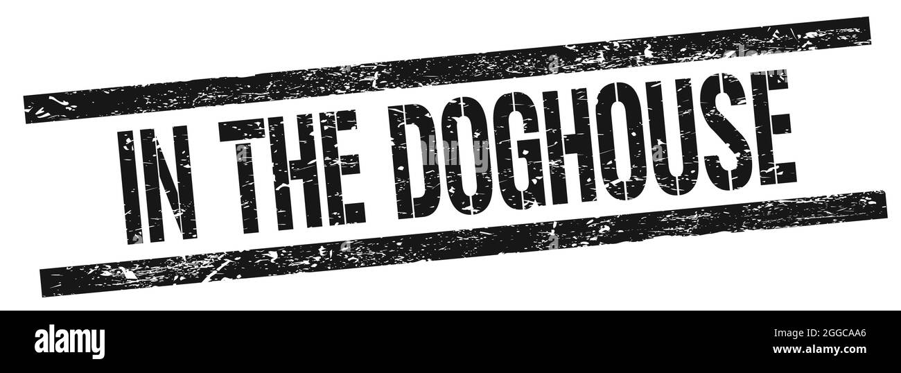 IN THE DOGHOUSE text on black grungy rectangle stamp sign Stock Photo ...