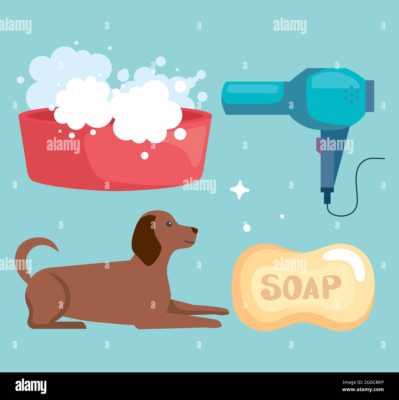 Washing pet icon collection Stock Vector Image & Art - Alamy