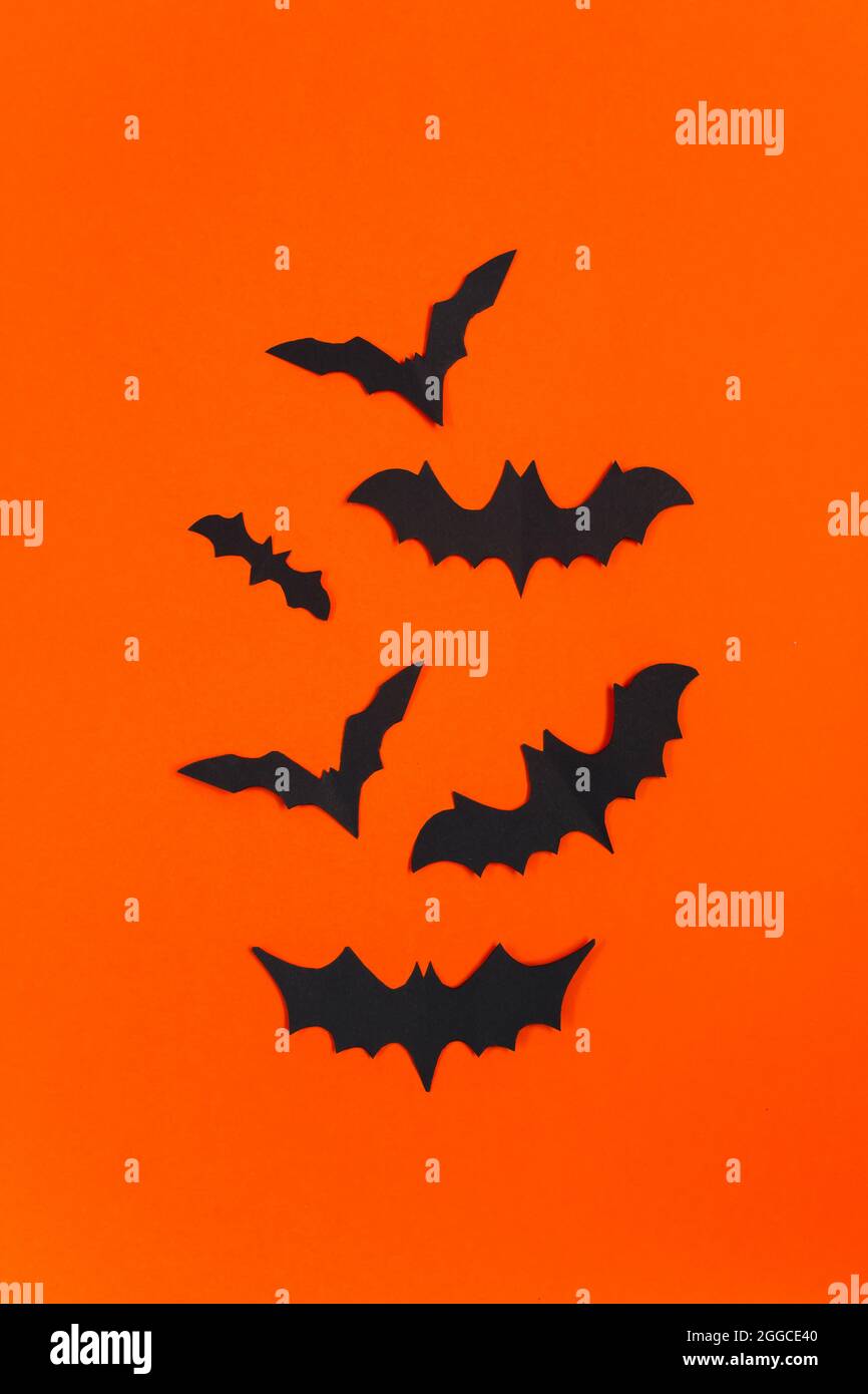 Halloween concept. Festive decorations. Bats on an orange background ...