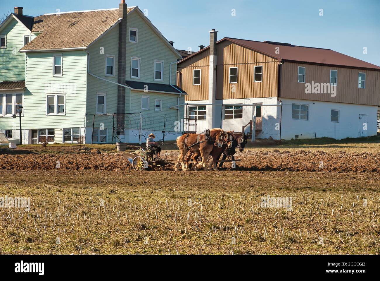 Amish farmers farm people hi-res stock photography and images - Alamy