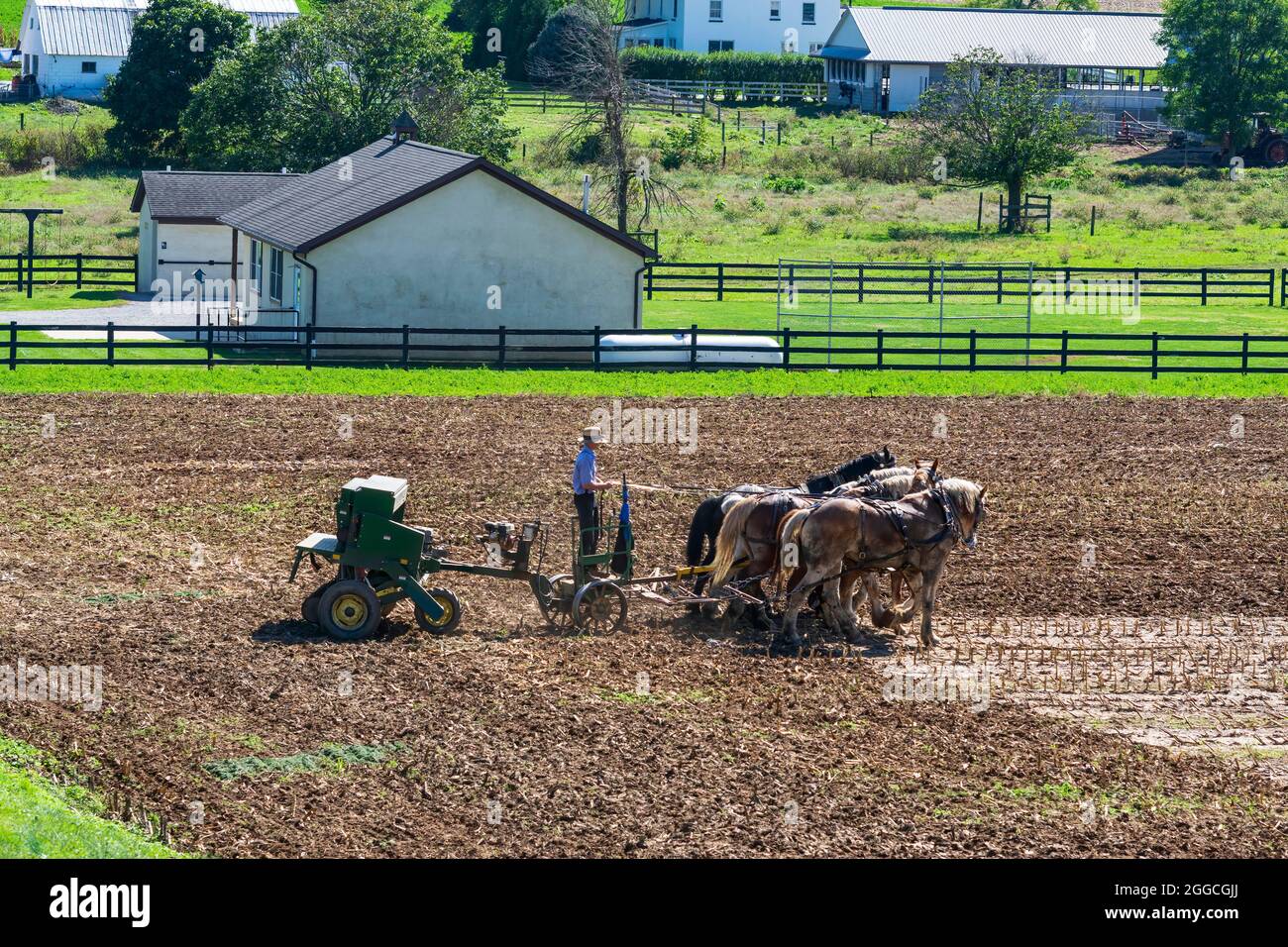 Amish Farmer High Resolution Stock Photography and Images - Alamy