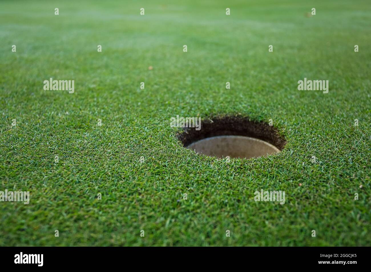 Quality control horizontal hi-res stock photography and images - Alamy