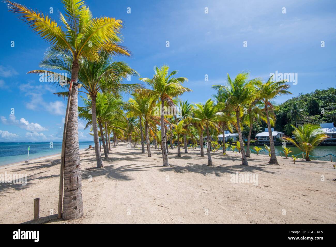 Happy beach cebu hi-res stock photography and images - Alamy