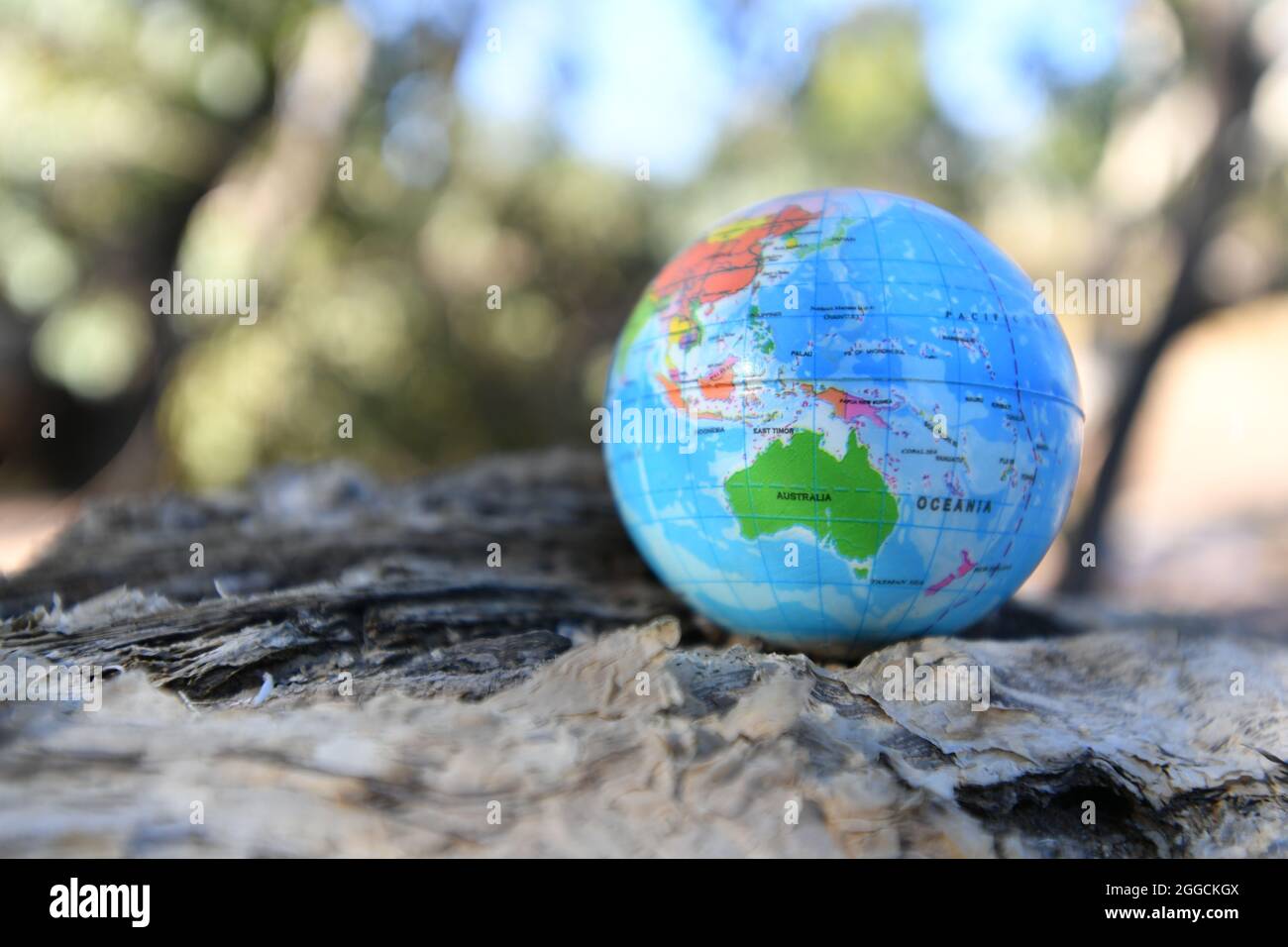 World globe in nature hi-res stock photography and images - Alamy