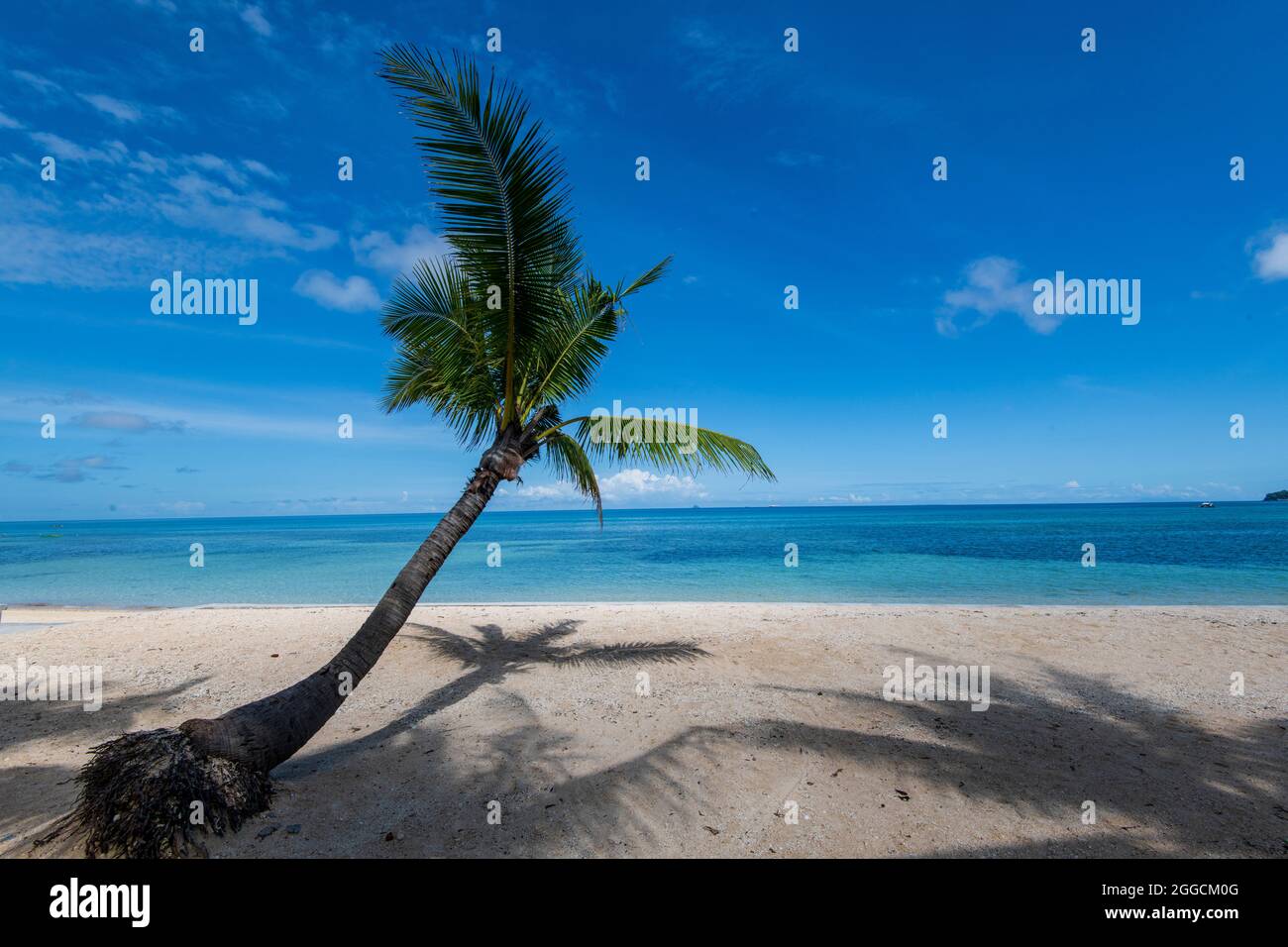 Happy beach cebu hi-res stock photography and images - Alamy
