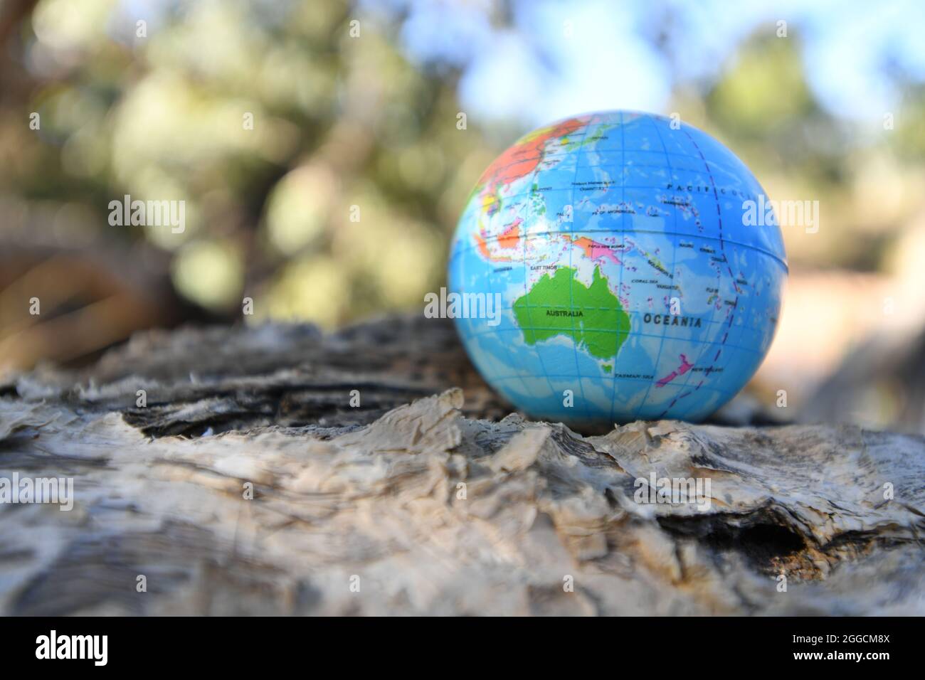 Earth globe in nature hi-res stock photography and images - Alamy
