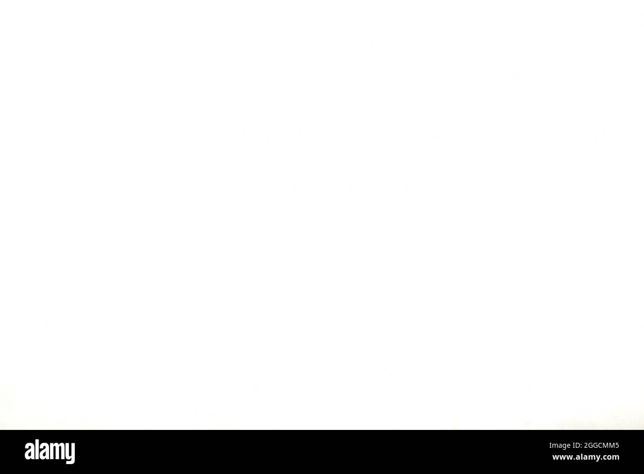 Bright White Wallpaper