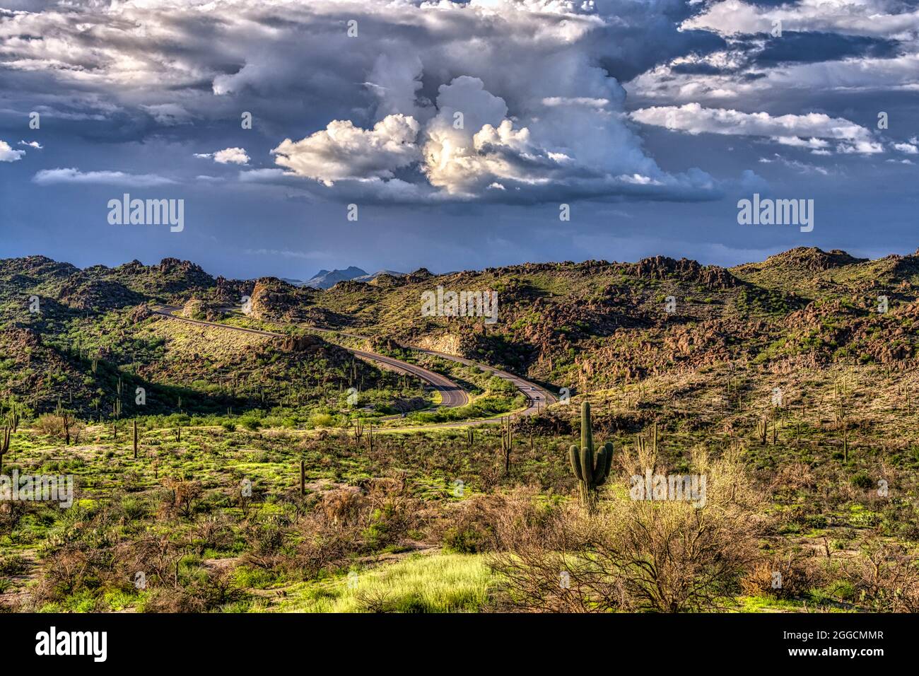 A view of the Sonoran Desert near Phoenix, Arizona Stock Photo - Alamy