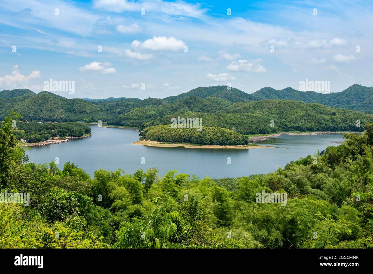 River forest nature woodland area green tree, river lagoon pond with ...