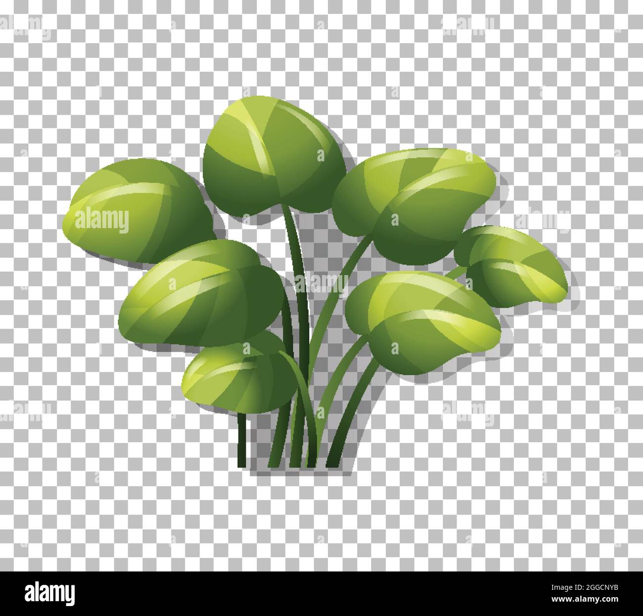 Tropical plant on transparent background illustration Stock Vector ...