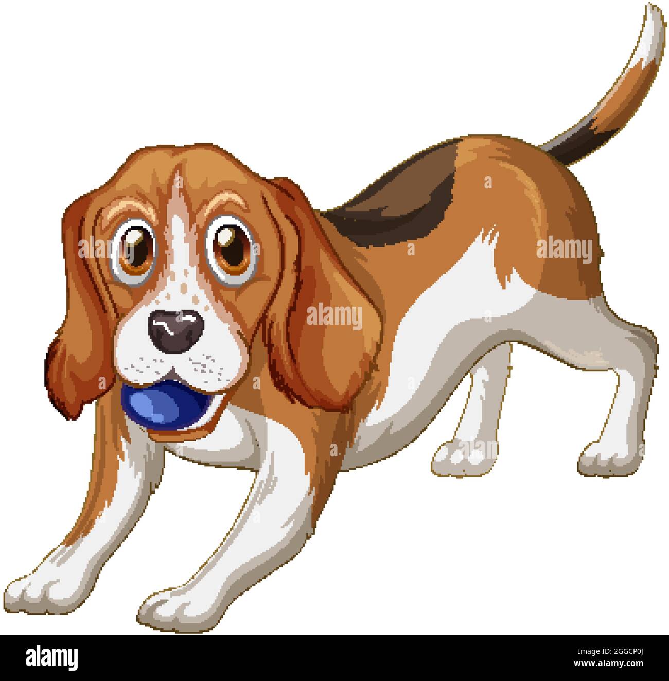 Beagle dog cartoon on white background illustration Stock Vector Image ...