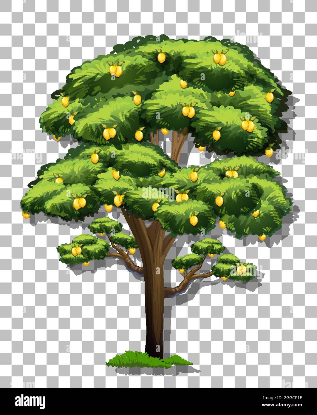 Lemon tree on transparent background illustration Stock Vector Image ...