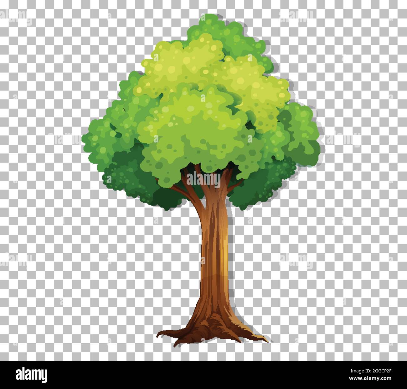 A tree isolated on transparent background illustration Stock Vector ...