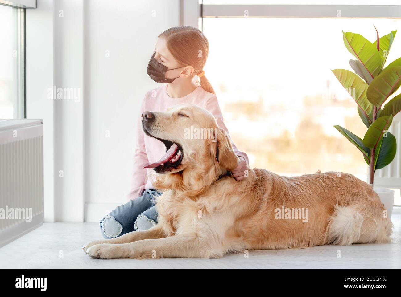 Little girl in mask with golden retriever dog Stock Photo - Alamy
