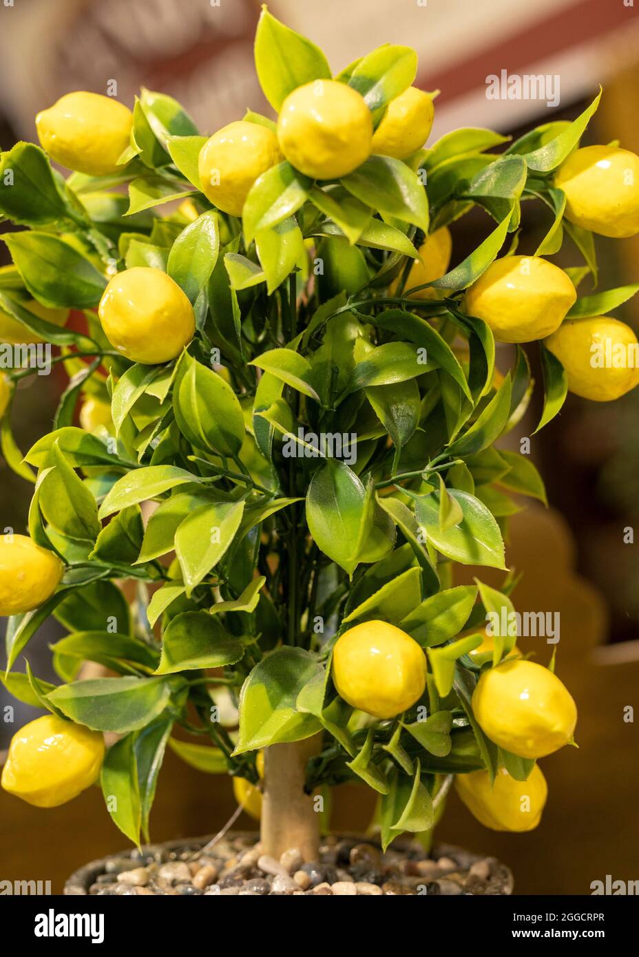 Fake plastic lemon tree as background Stock Photo - Alamy
