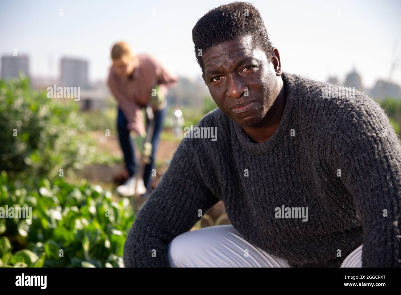 Portrait of african american male gardener Stock Photo - Alamy