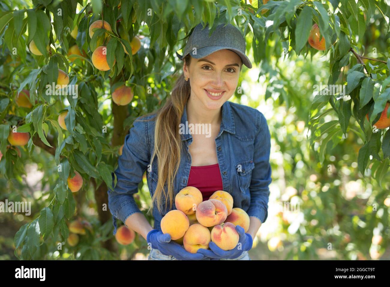Portrait of happy female owner orchard with peaches in hands Stock ...