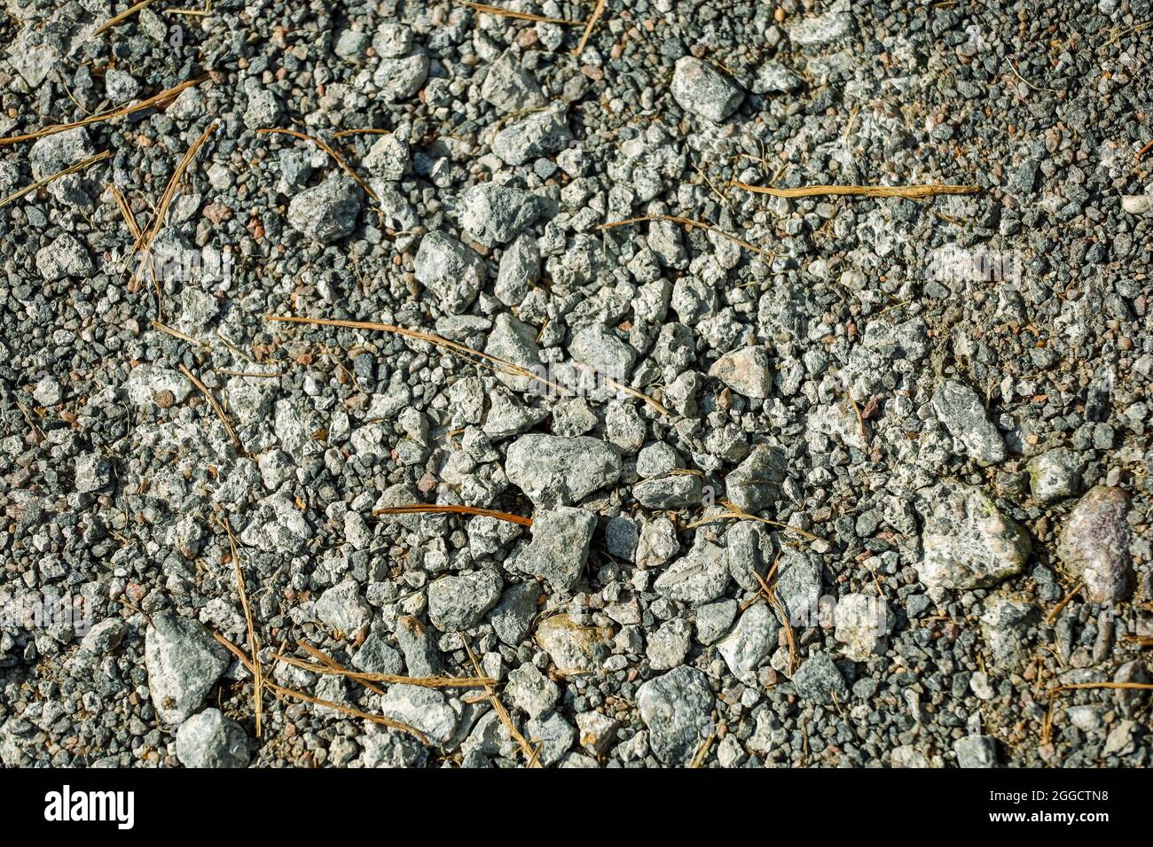 Background, small stones of gray color on a ground. High quality photo ...