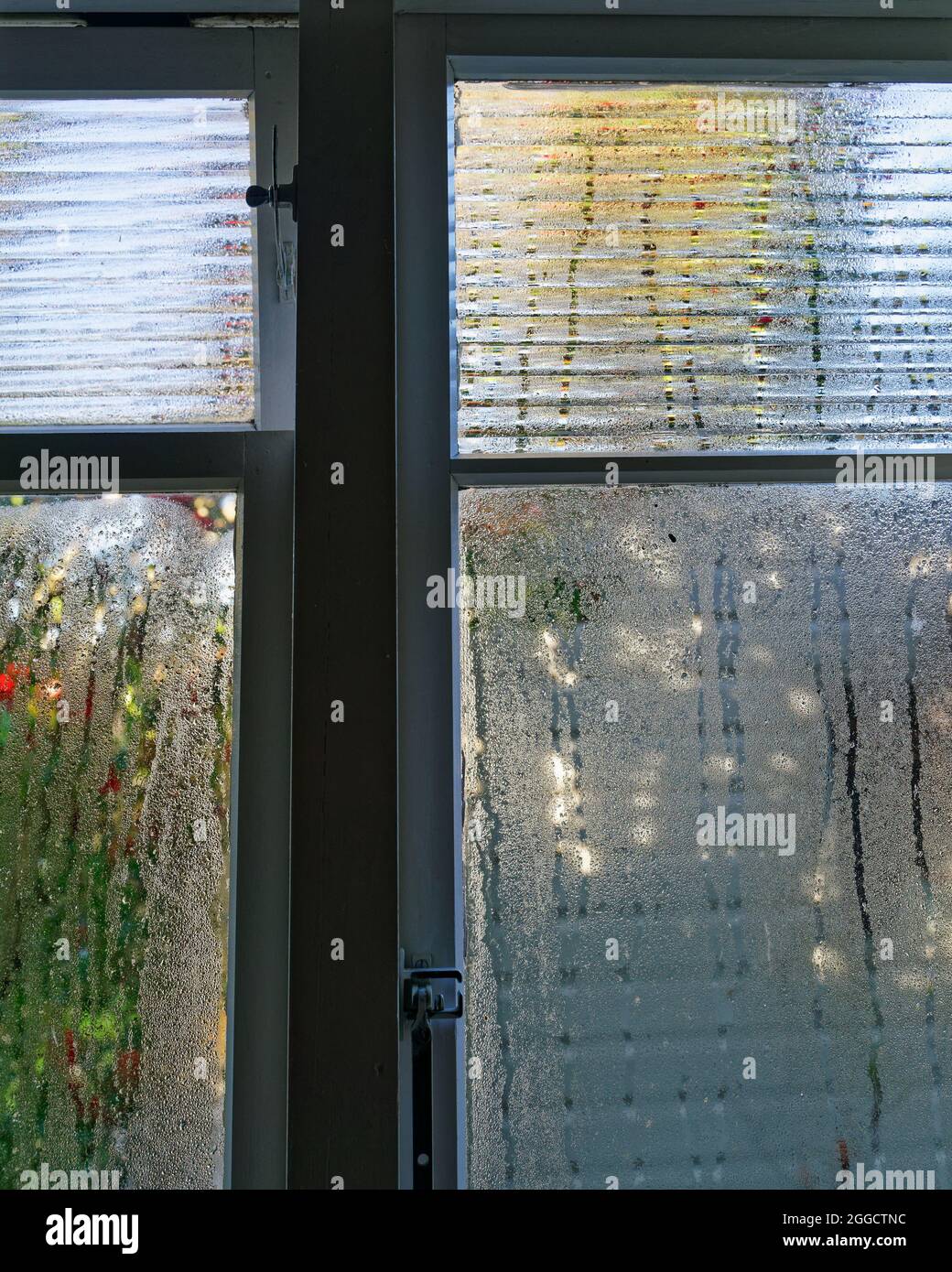 Damp house hi-res stock photography and images - Alamy