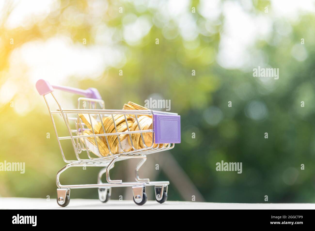 Shopping cart with golden coin. shopping online concept Stock Photo - Alamy