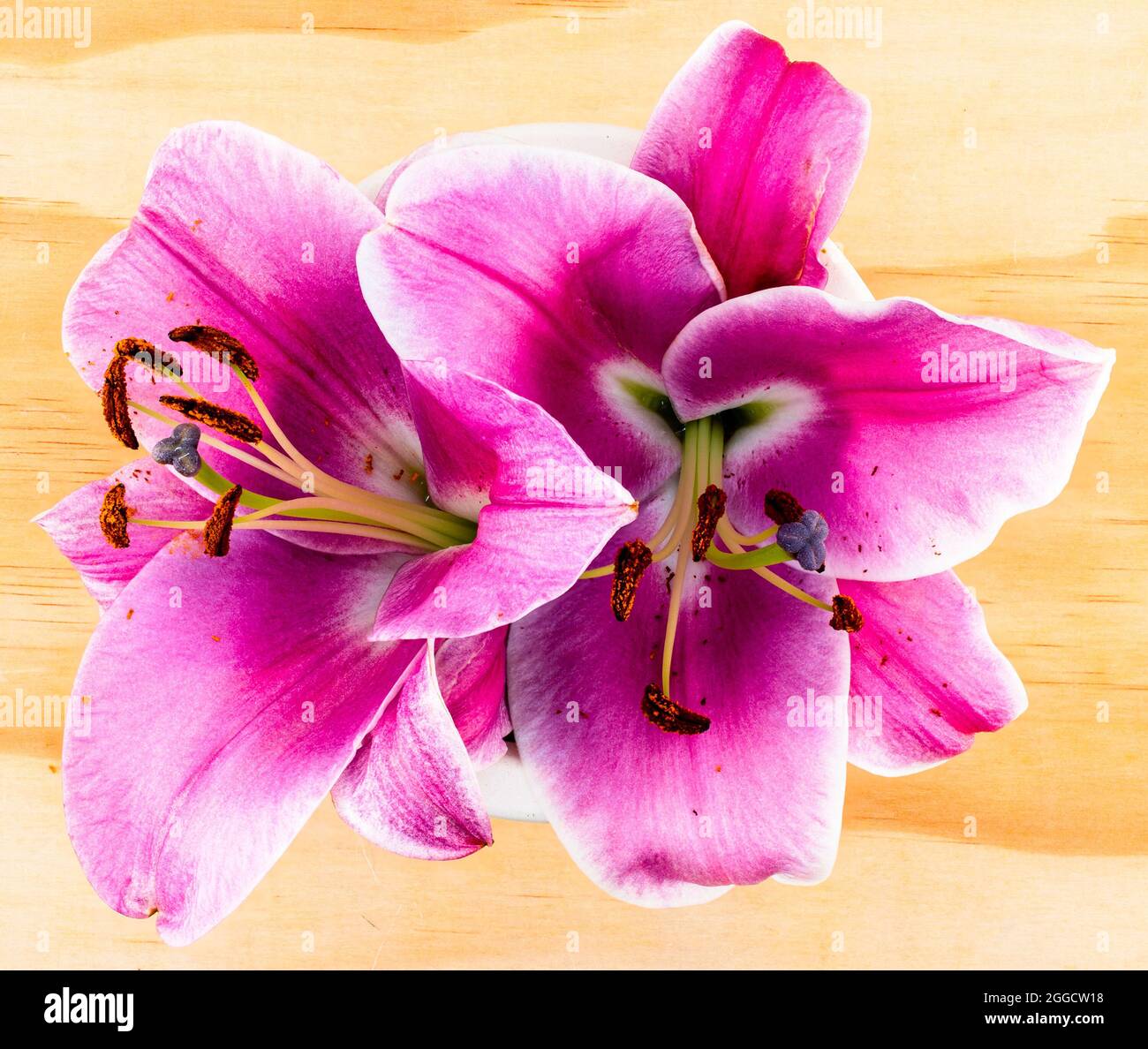A bunch of pink lilies showing their stamen top down view on timber ...