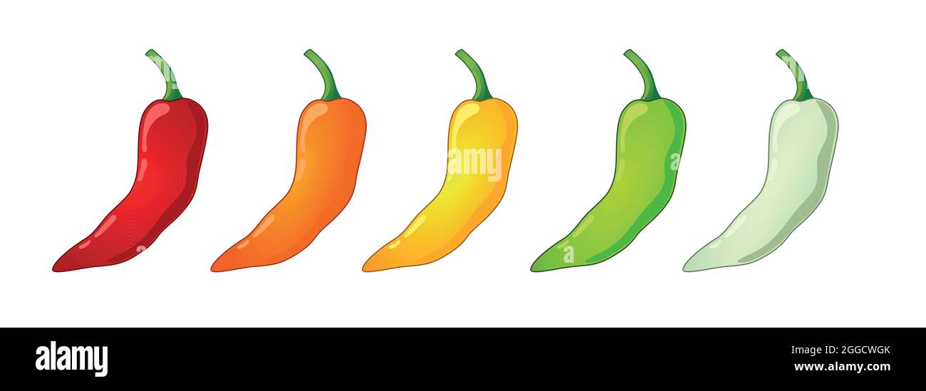 Spicy food level. Chili pepper different color strength scale. Food ...
