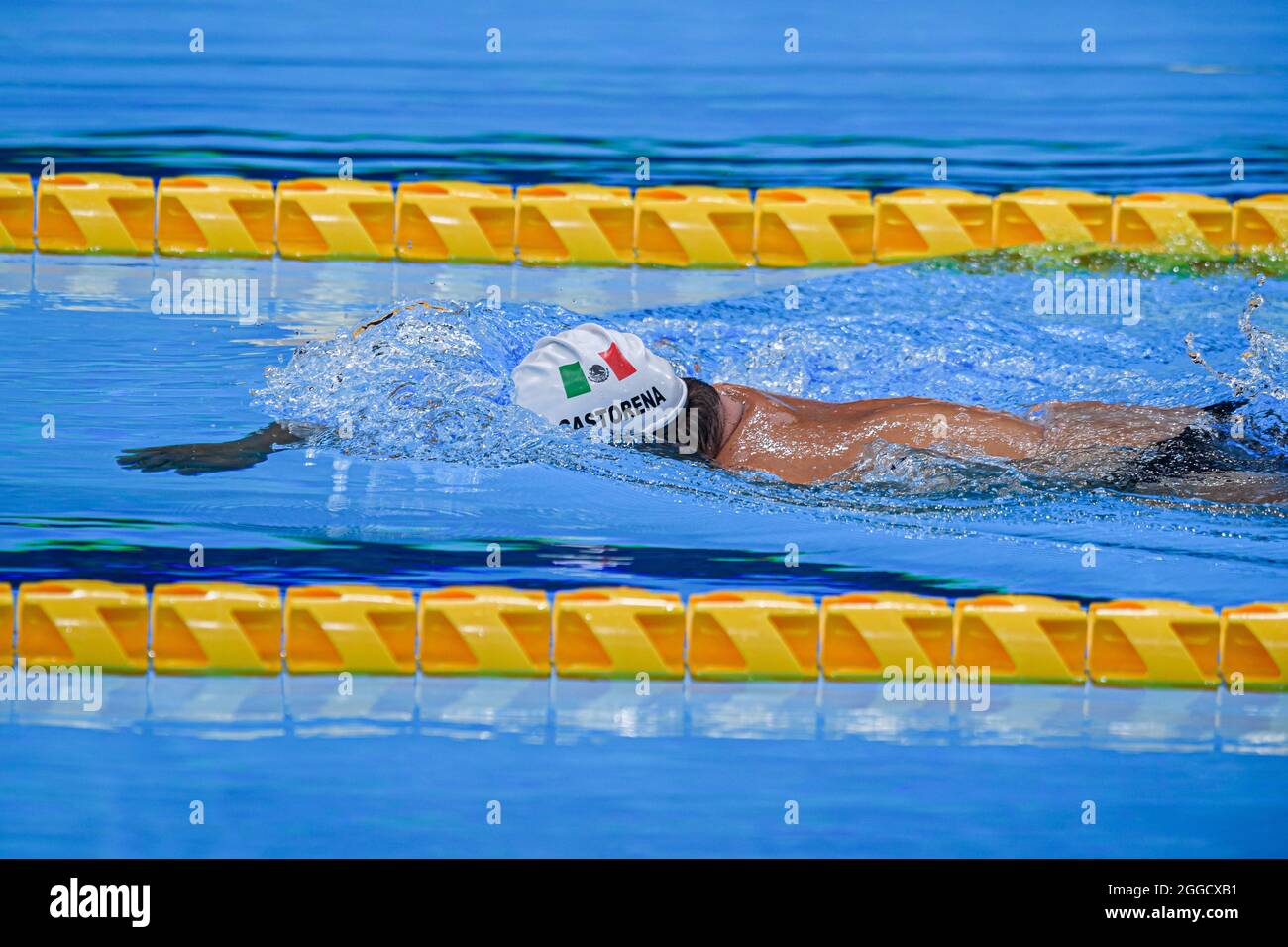 50m freestyle women hi-res stock photography and images - Alamy