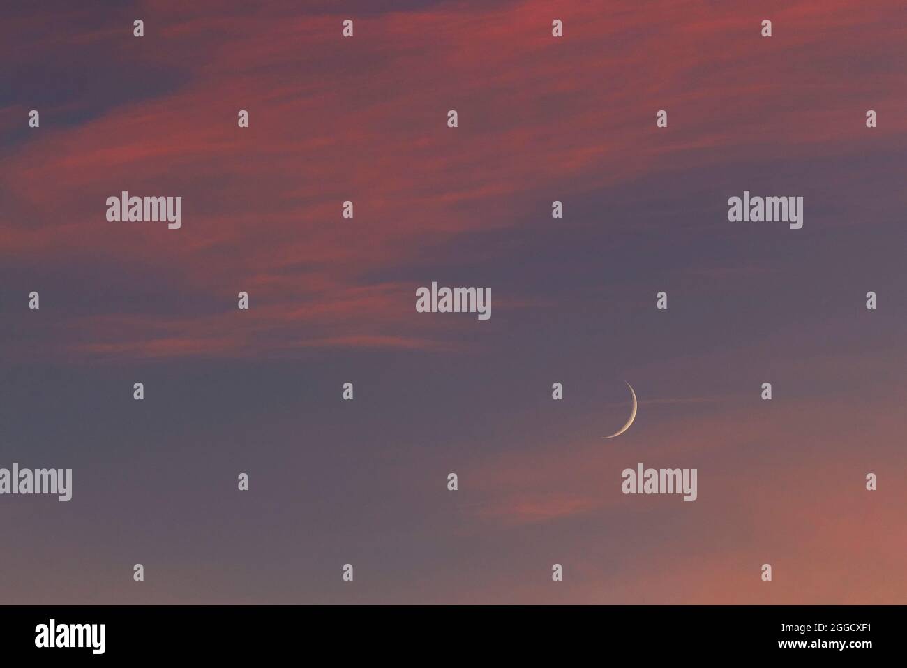 Moon texture hi-res stock photography and images - Alamy