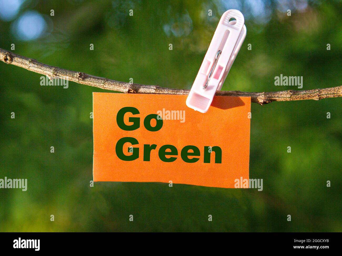 Go Green message clipped on a tree branch. Eco friendly and sustainable ...