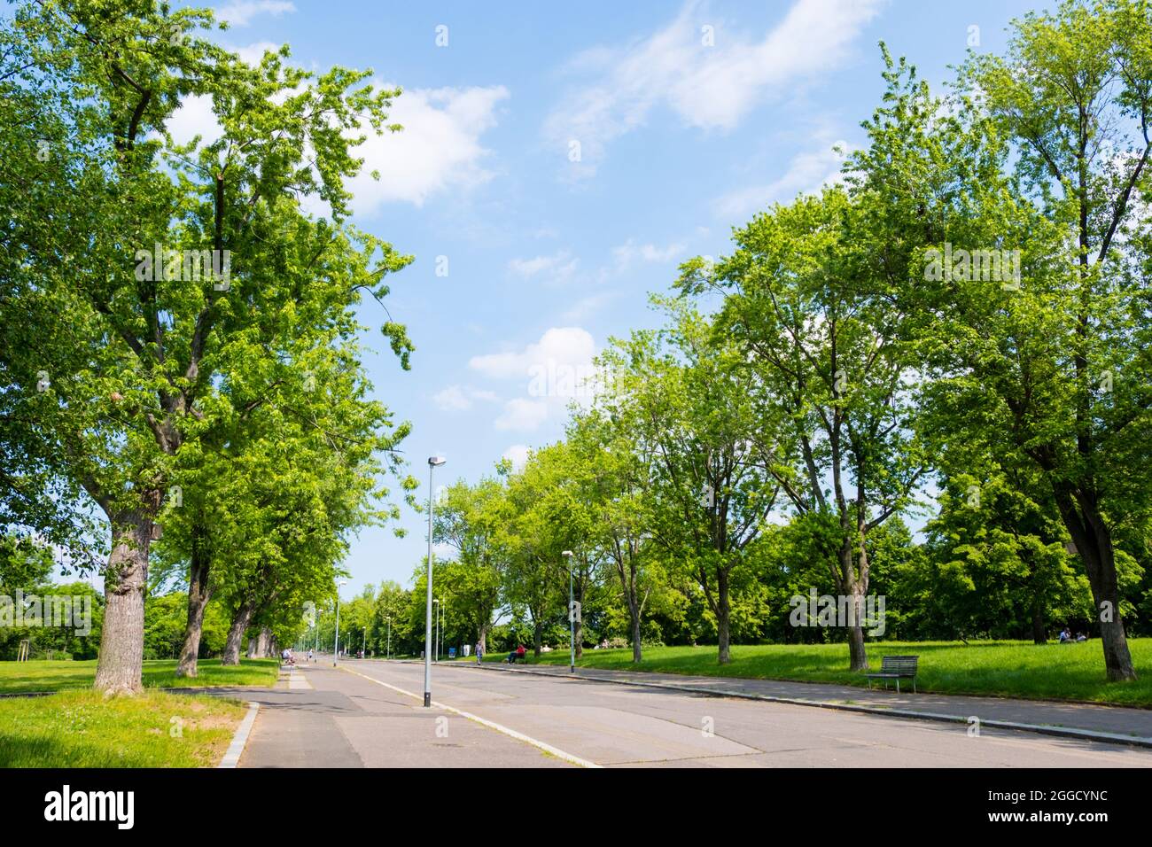 Parukarka gardens hi-res stock photography and images - Alamy