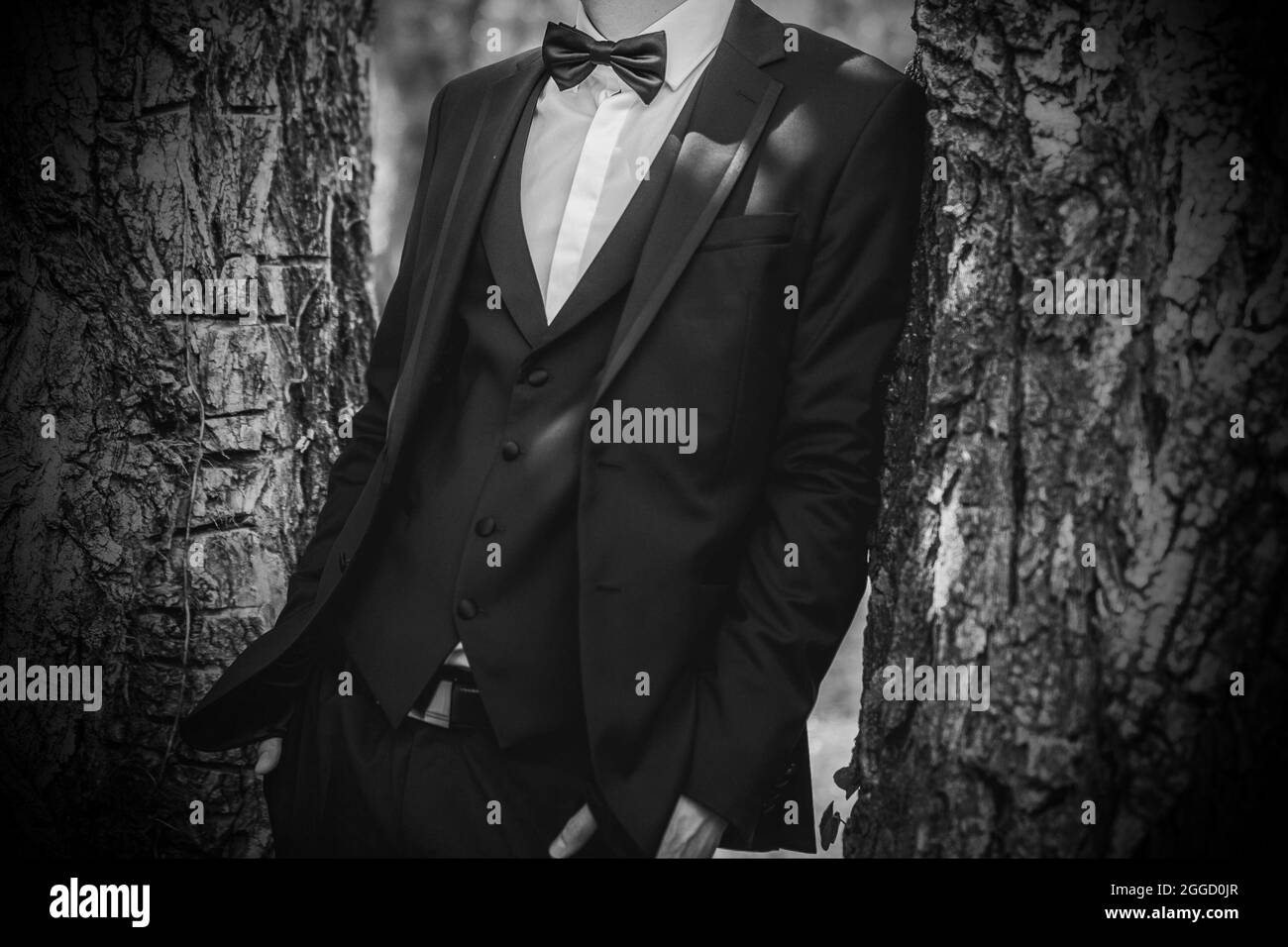 Formal suit hi-res stock photography and images - Alamy