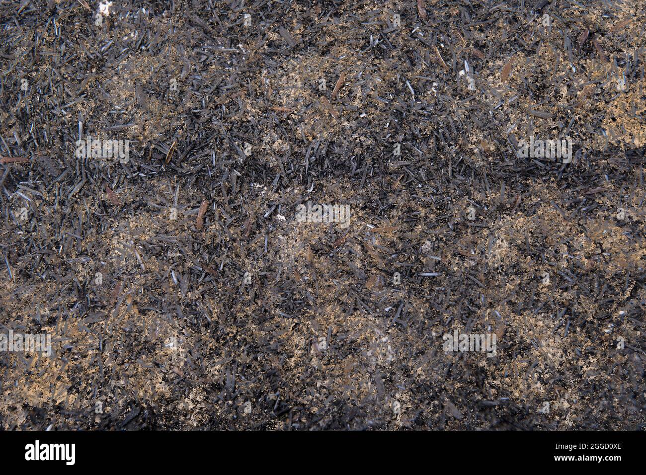 Close up view of soil ground texture for background Stock Photo - Alamy
