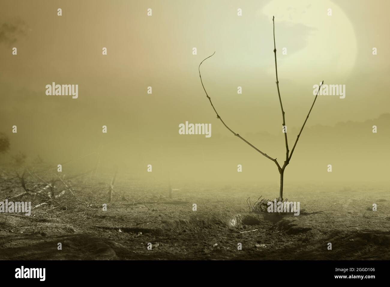 Field with the dramatic scene background Stock Photo - Alamy