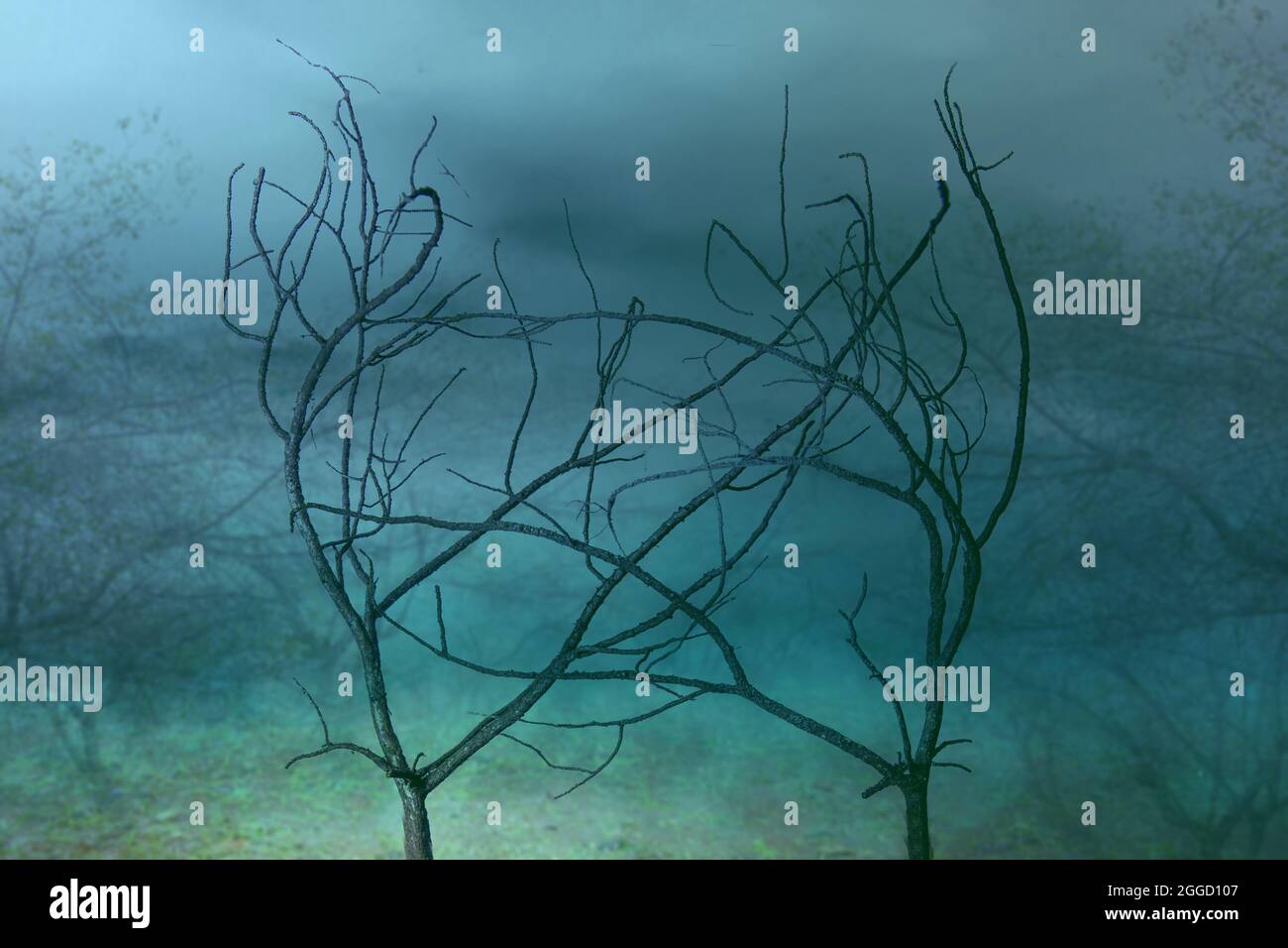 Field with the dramatic scene background Stock Photo - Alamy