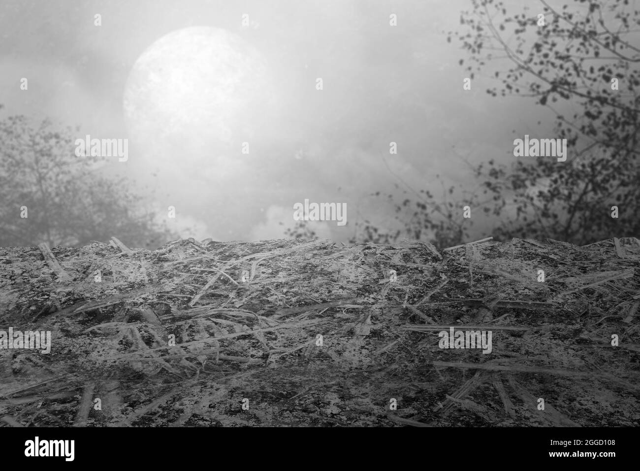 Close up view of ground with dramatic sky background Stock Photo - Alamy