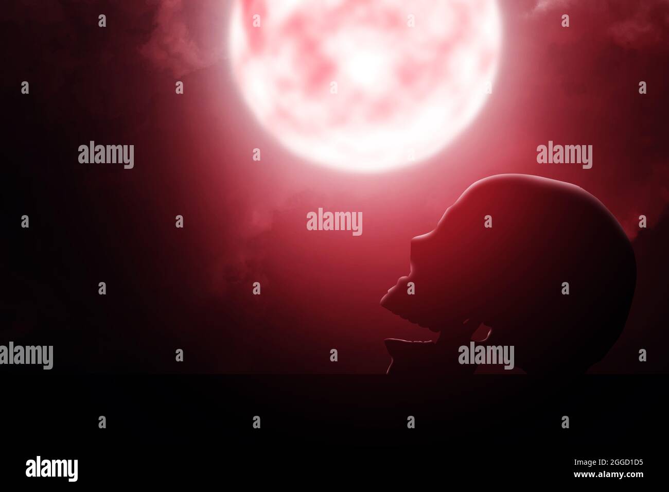 Silhouette of a human skull with full moon background Stock Photo - Alamy