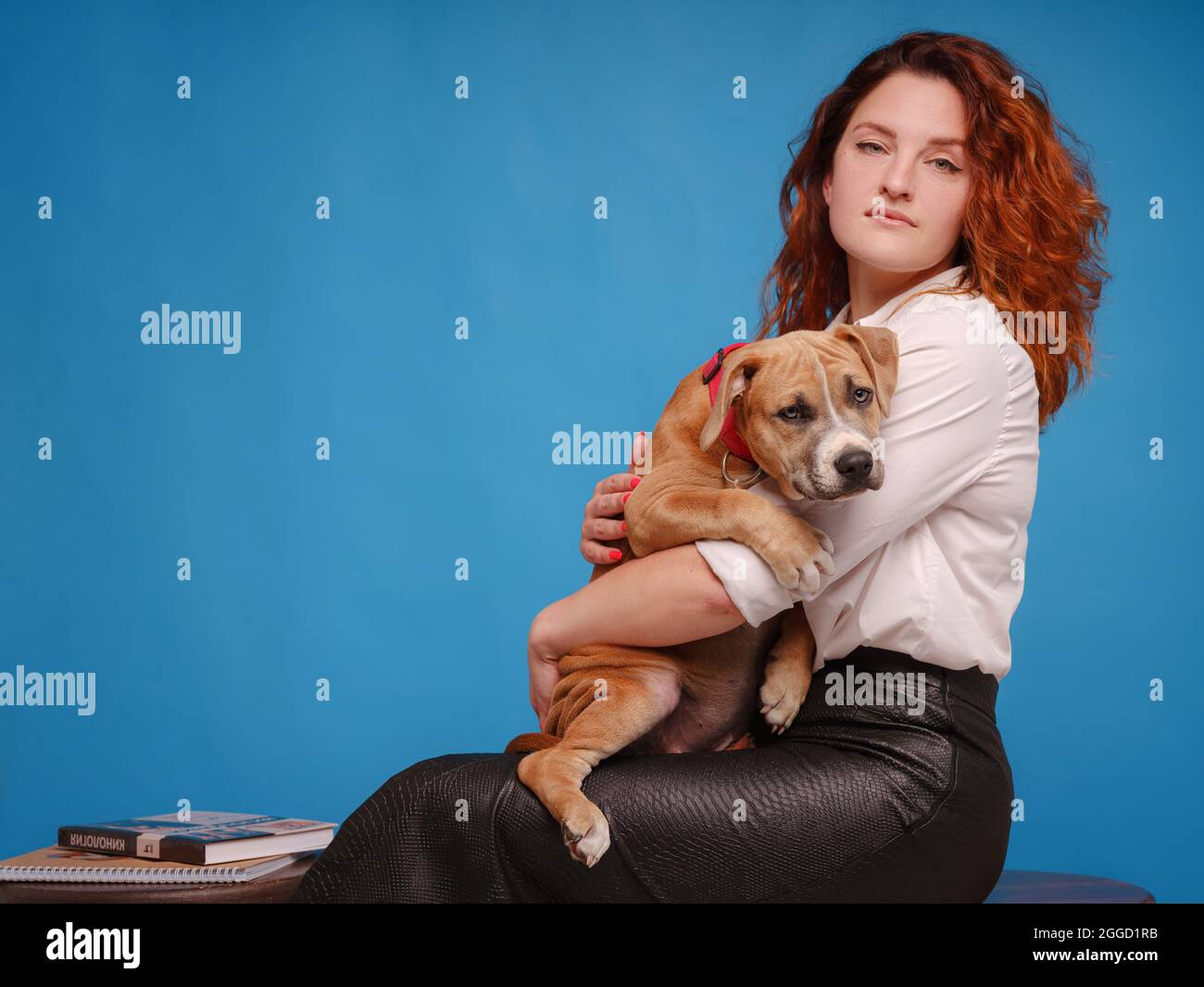 beautiful redhead woman with Cute puppy American Staffordshire Terrier ...