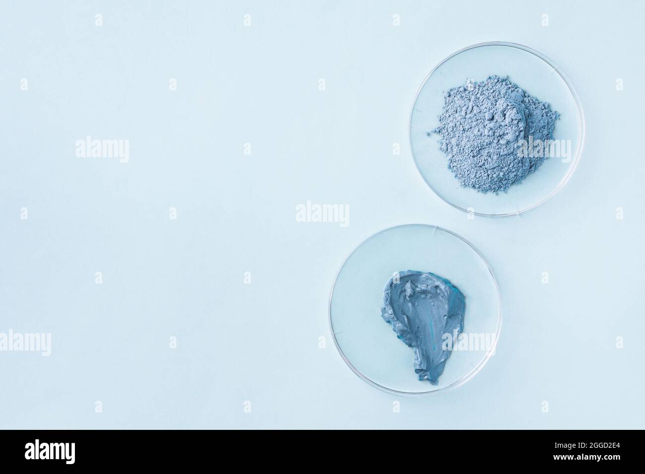 Dry facial blue clay powder in petri dishes top view. Natural organic ...
