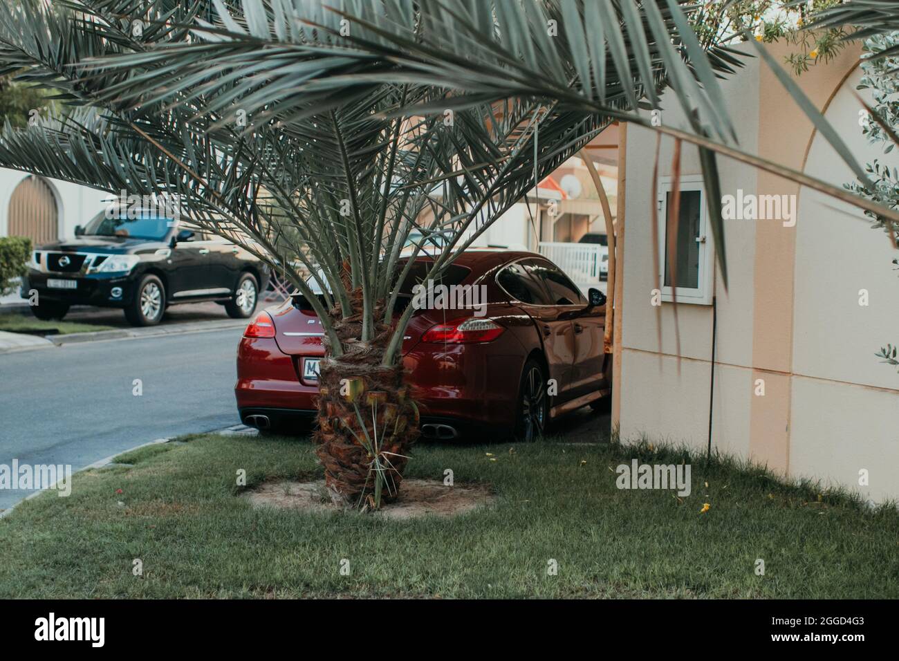 Palm trees in front house hi-res stock photography and images - Alamy