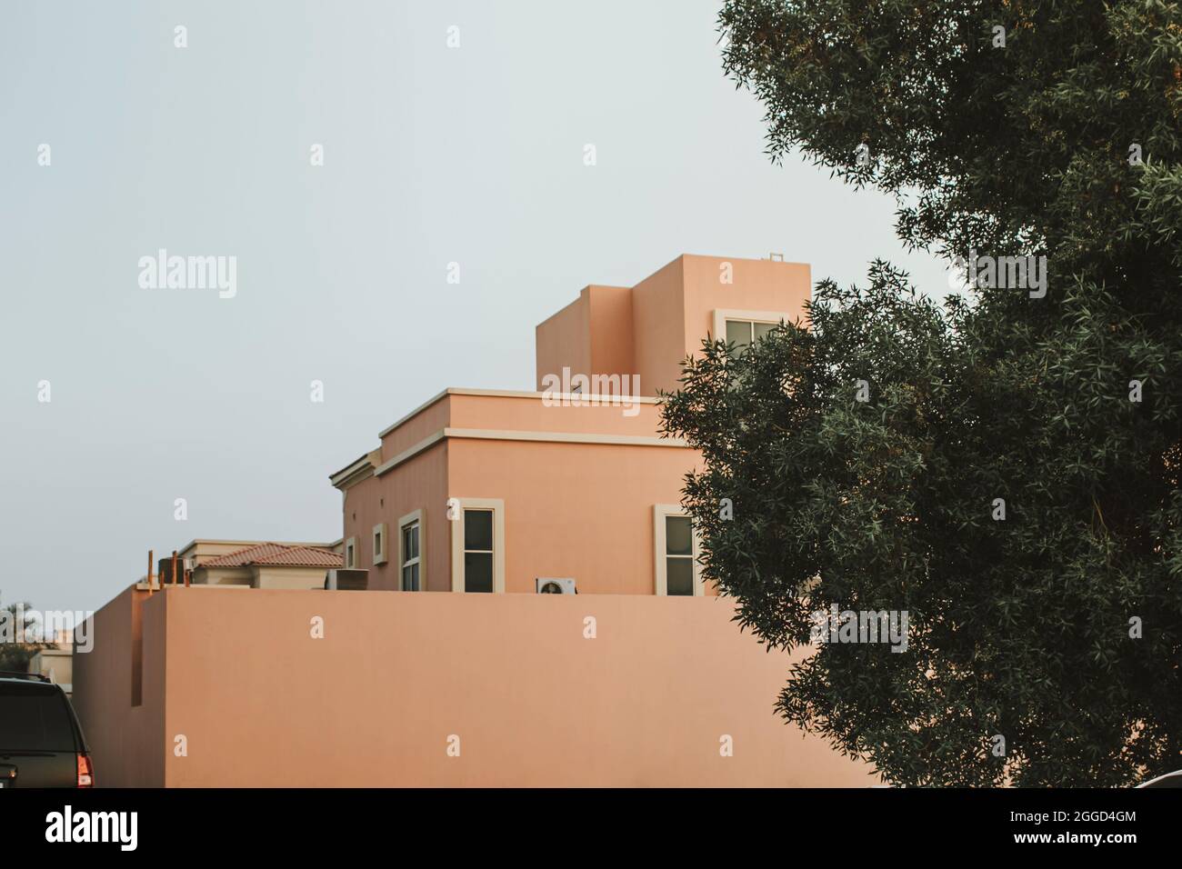 Peach tree project hi-res stock photography and images - Alamy